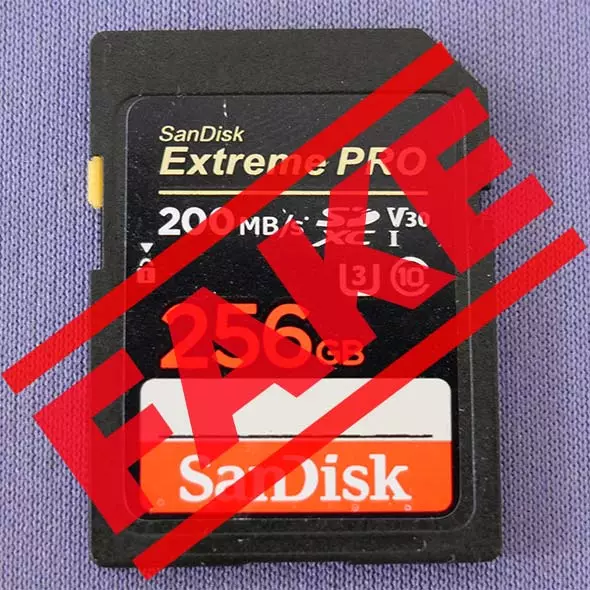 The Best Data Recovery Tips and Tricks on the Vexus Blog